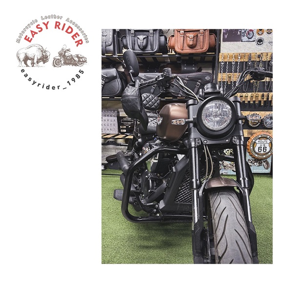 گارد جلوی موتورسیکلت Kavir C2 کویر سیتو - موتو باکس